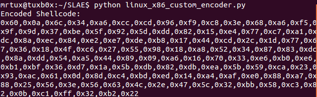 Slae Custom Rbix Shellcode Encoderdecoder Rce Security